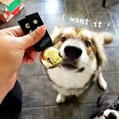 SCENEREAL Large Dog Collar Bell for Training, Hiking, Walking, Hunting ...
